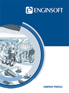 EnginSoft - Company