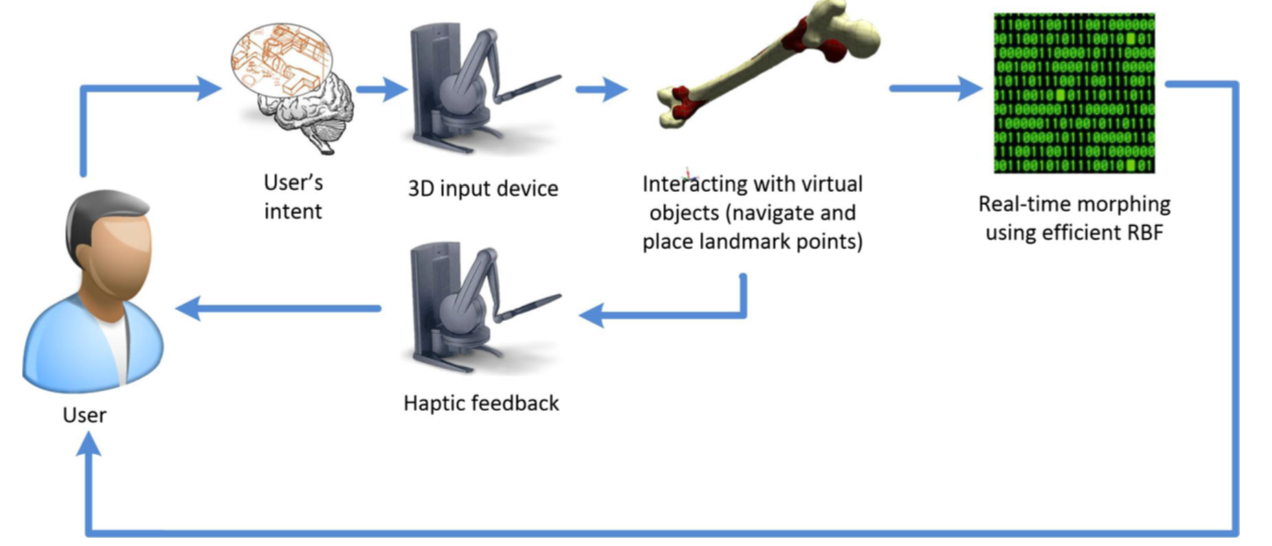 Tools and methodologies for generating digital twins in medical ...